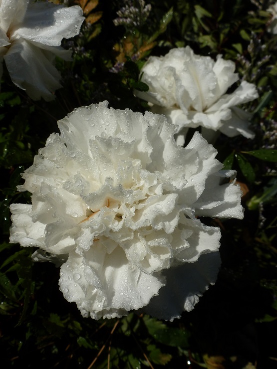 GPS Hope Wall of Remembrance