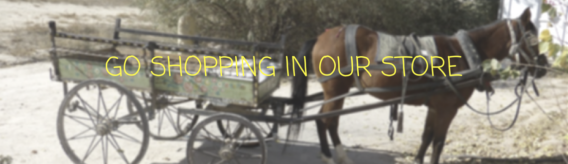 Entering the Store... - GPS Hope